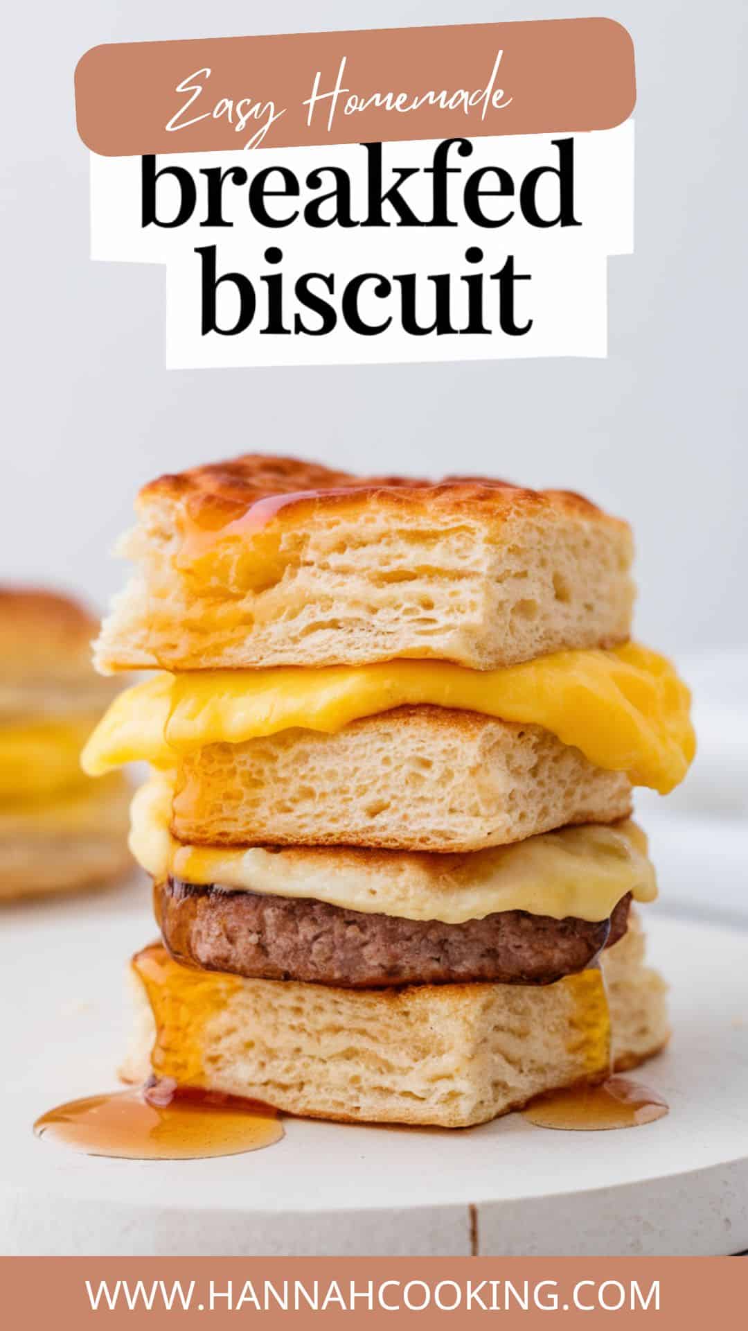 Homemade Biscuit Breakfast Recipes: Quick Ideas for Mornings